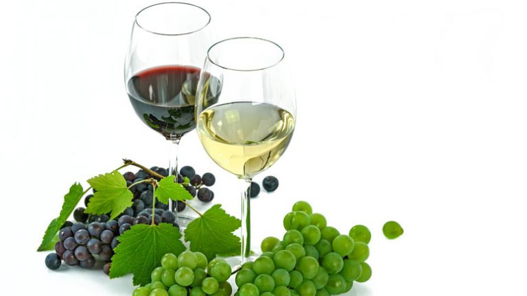 The Cultivation of the Wine Industry in Cuba