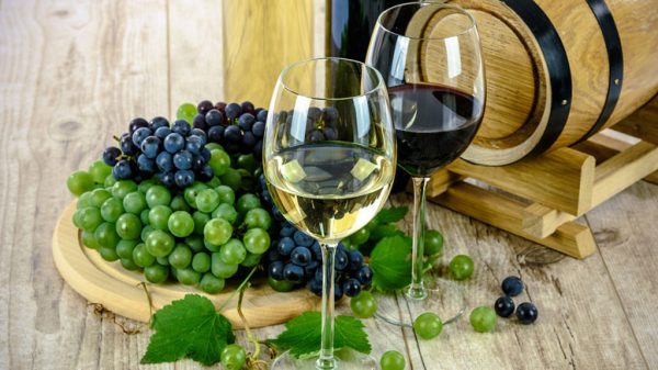 The Cultivation of the Wine Industry in Cuba