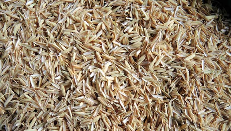 Sustainable Agriculture - Turning Rice Husks into Electricity