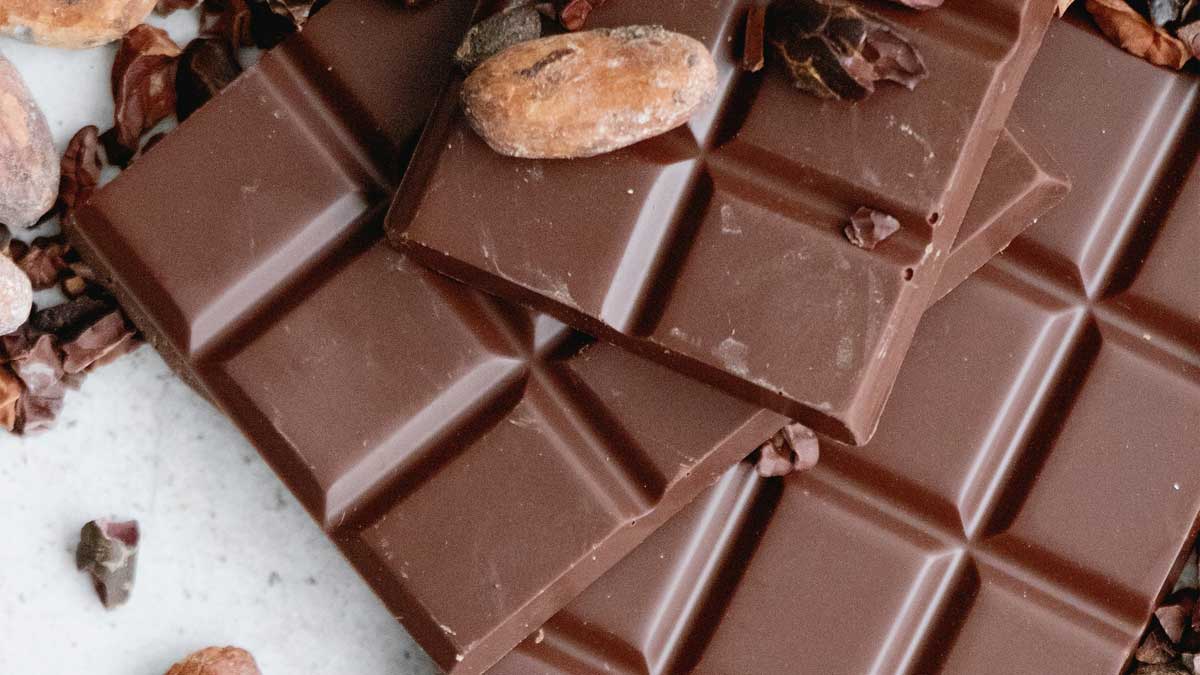 Baracoa Chocolate Factory Poised to Start up production