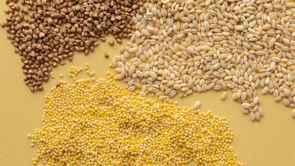 Agri VMA Becomes the Fifth Vietnamese Company at ZEDM
