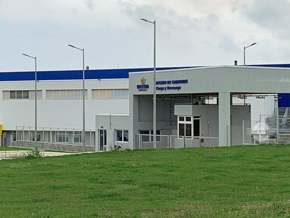 Fast Forward: the ZED Mariel Today